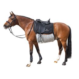Horse-friends Anti-Fliegen Bauchlatz grau M