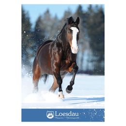 Loesdau Gutschein zum Drucken