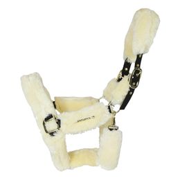 KENTUCKY Lammfell-Transport-Halfter beige WB