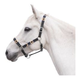 Black Forest Lederhalfter Canterbury schwarz/blau Shetty