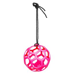 Waldhausen Heuball rosa 22 cm