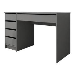 Mirjan24 Schreibtisch, Anthrazit, Holzwerkstoff, 5 Schubladen, Rechteckig, 55x76x120 cm, Arbeitszimmer, Schreibtische, B&uuml;rotische