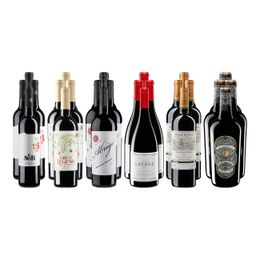 Weinsammlung - Die kleine Rotwein-Sammlung Sommer 2026, 24 Flaschen