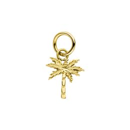 PURELEI Palmtree Charm