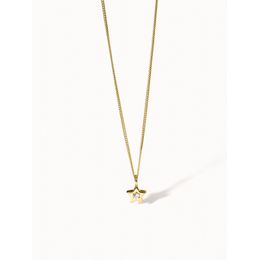 PURELEI Star Kette