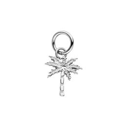 PURELEI Palmtree Charm