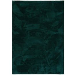 Pergamon Fellteppich, Dunkelgr&uuml;n, Textil, 160x230 cm, Teppiche & B&ouml;den, Teppiche, Hochflorteppiche & Shaggys
