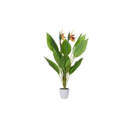 H&ouml;ffner Strelitzia getopft &brvbar; gr&uuml;n &brvbar; Kunststoff &brvbar; Ma&szlig;e (cm): H: 80 &raquo; H&ouml;ffner