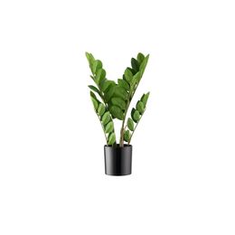 H&ouml;ffner Zamifolia getopft gr&uuml;n Kunststoff Ma&szlig;e (cm): H: 45 &raquo; H&ouml;ffner