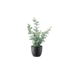 H&ouml;ffner Eukalyptus getopft gr&uuml;n Kunststoff Ma&szlig;e (cm): H: 38 &raquo; H&ouml;ffner