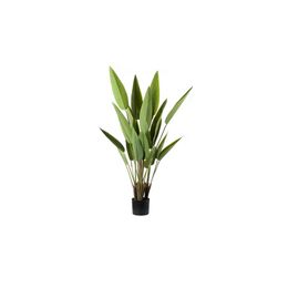 H&ouml;ffner Strelitzia getopft gr&uuml;n Kunststoff Ma&szlig;e (cm): H: 120 &raquo; H&ouml;ffner