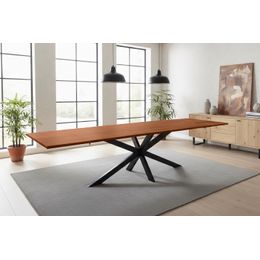 Tisch AVINO / nussbaumfarben / 200(300)x100 / Spider-Gestell Schwarz