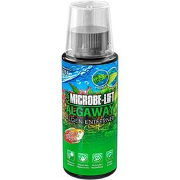 ARKA Algaway Algenentferner 118 ml
