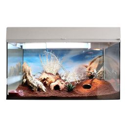 LUCKY REPTILE Terrarium Starter Kit 80 cm "Leopardgecko" wei&szlig;