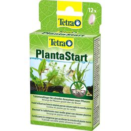 Tetra PlantaStart Pflanzend&uuml;nger