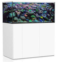 Aqua Medic Meerwasseraquarium Armatus XD wei&szlig; 500