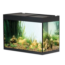 Oase StyleLine Aquarium schwarz 175
