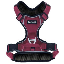 Petlando Outdoor Geschirr berry