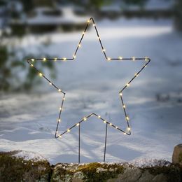 LED-Gartenstecker "Stern"
