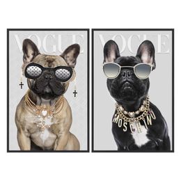 SONSTIGE Bild GLAMOROUS DOGS