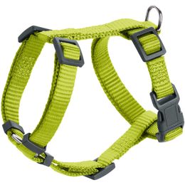 Hunter Geschirr London Vario Rapid limette / XXS/3