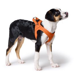 Hunter Geschirr Hilo orange / S