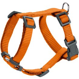 Hunter Geschirr London Vario Rapid orange / XXS/1