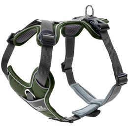 Hunter Geschirr Divo gr&uuml;n/grau / M