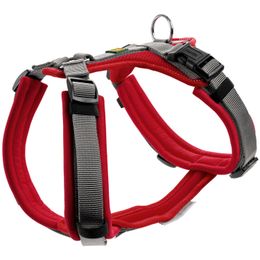Hunter Geschirr Maldon Up rot/grau / XS-S