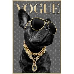 SONSTIGE Bild BULLDOG WITH SUNGLASES