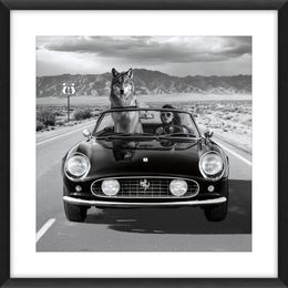 SONSTIGE Bild WOLF AND LADY ON HIGHWAY