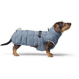 Hunter Hundemantel Paxson Dackel taubenblau / 36