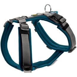 Hunter Geschirr Maldon petrol/grau / XS