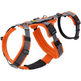 Hunter Sicherheitsgeschirr Maldon orange/grau / M