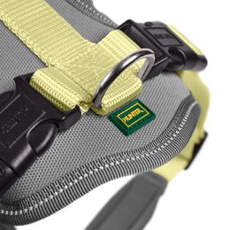 Hunter Geschirr Neopren matcha/grau / L