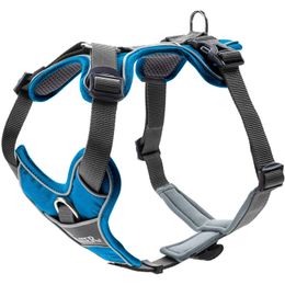 Hunter Geschirr Divo hellblau/grau / L