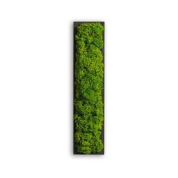 Stylegreen Moosbild Stylegreen, Gr&uuml;n, Naturmaterialien, Kork, Pflanzen, 26x6x4 cm, einfache und schnelle Anbringung, pflegefrei &ndash; nicht gie&szlig;en oder bespr&uuml;hen, keine Beleuchtung notwendig, Bilder und Zubeh&ouml;r, Moosbilder