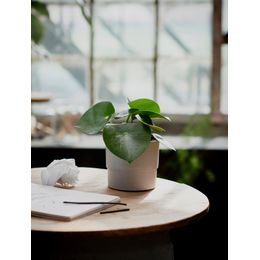IKEA NYPON &Uuml;bertopf