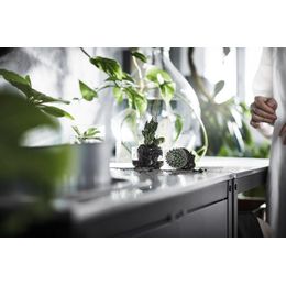 IKEA GRILLSK&Auml;R K&uuml;cheninsel/Regal