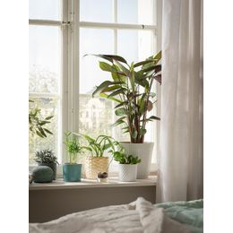 IKEA CHIAFR&Ouml;N &Uuml;bertopf