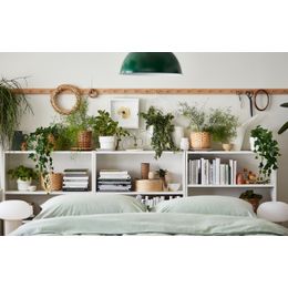 IKEA BILLY B&uuml;cherregal