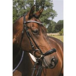 Hans Melzer Horse Equipment Hans Melzer Trense Valluhn schwarz/silber hannoversches Reithalfter schwarz unterlegt LACK Pony
