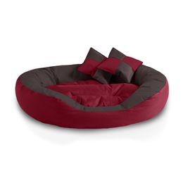 BedDog 4in1 Hundebett SABA gro&szlig;es Hundek&ouml;rbchen abwischbar Hundekissen