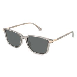 Polaroid PLD 4169/G/S/X | Herren-Sonnenbrille | Fassung: Vollrand, Quadratisch, Kunststoff, Beige Grau | Glasfarbe: Grau