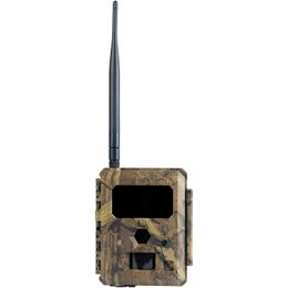 ICU Wildkamera CLOM Easycam