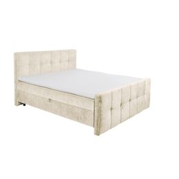 Boxbett PUEBLA