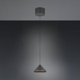 Trio Leuchten Laguna Pendelleuchte 1-flammig, LED, 336210132,