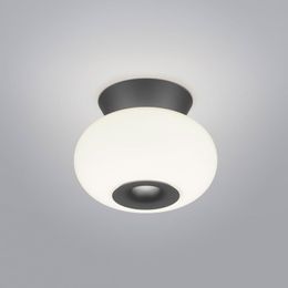 Helestra SAPO Deckenleuchte LED, 25/2700.22,