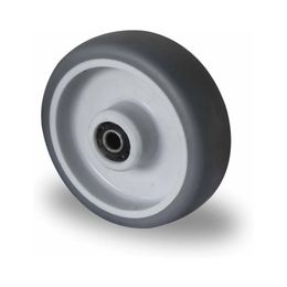 CASCOO Rad &oslash; 100 mm Serie P2W2 Rollenlager (100P2W2R1W)
