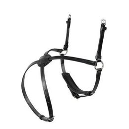 Hans Melzer Horse Equipment Hans Melzer Reithalfter mexikanisch schwarz/silber schwarz unterlegt WB (Warmblut)
